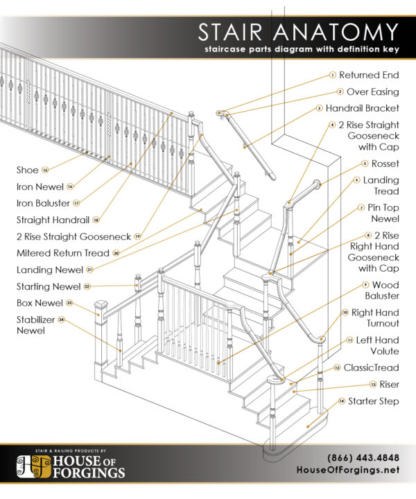 Stair Anatomy Guide